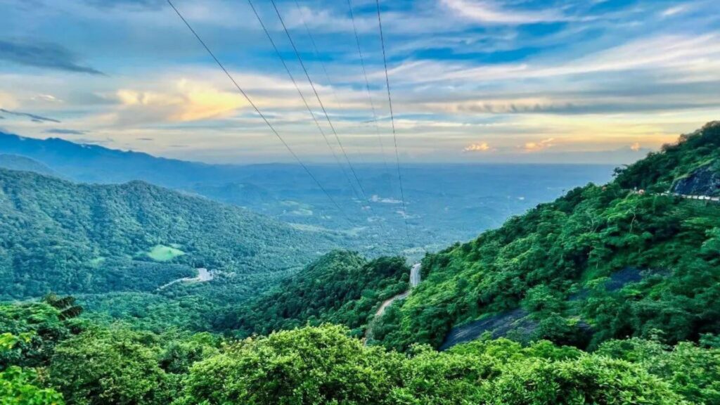 red tide മത്സ്യങ്ങൾ ചത്ത് പൊങ്ങുന്നു, കുവൈത്ത് കടലിൽ റെഡ് ടൈഡ് ...